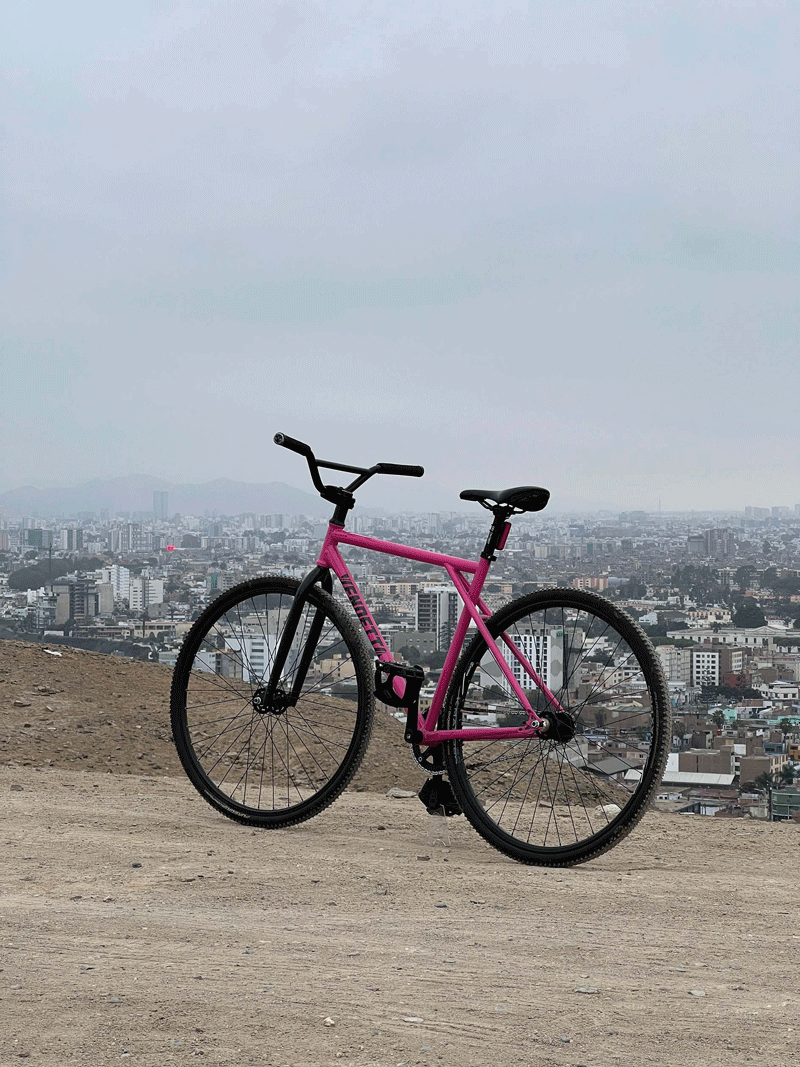 Vendetta Tricktrack TripleT Frame – FIXED GEAR ARCHIVE